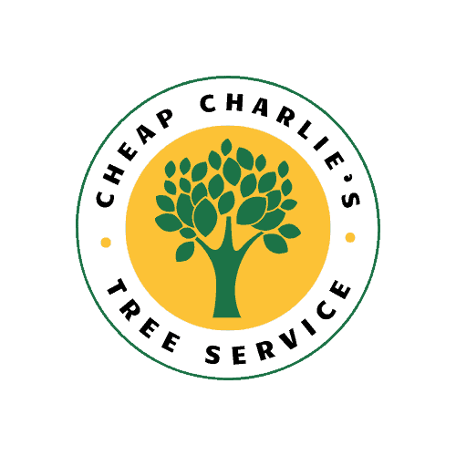 Contact Us | Tree Company Suffolk County, NY | Cheap Charlie's Tree Service