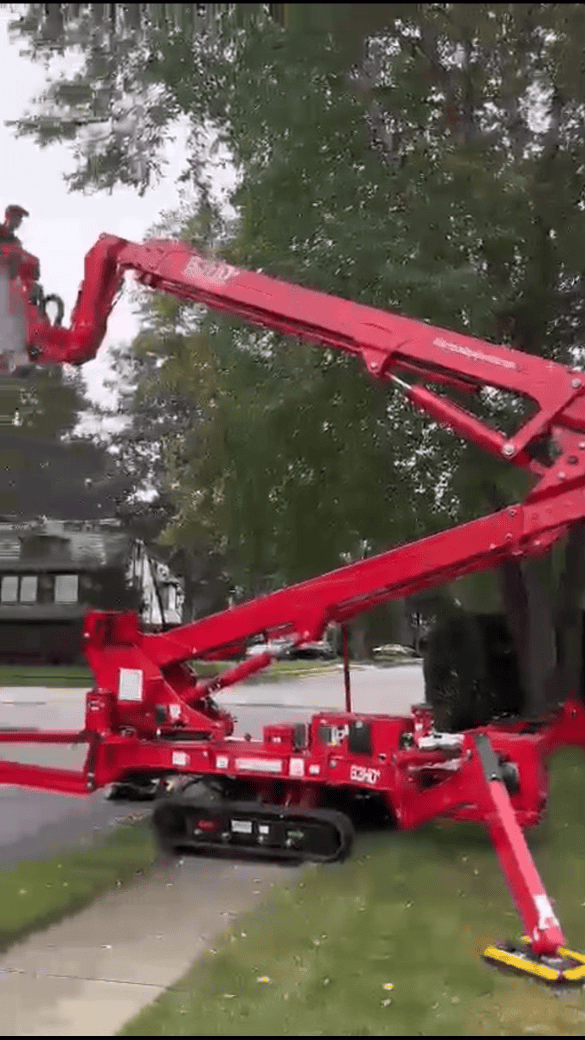 Gallery Tree Services in Nassau County, NY | Cheap Charlie's Tree Service